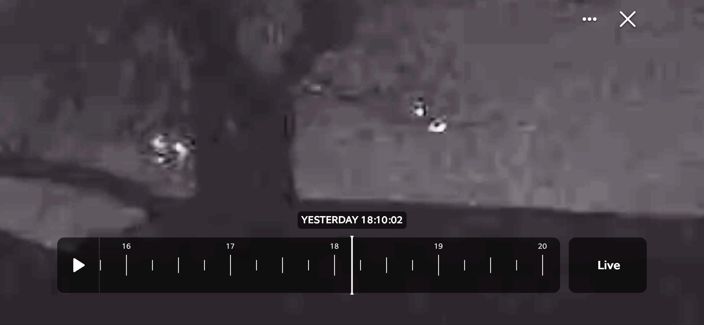 Two objects seen very low, behind my tree – UFO FEED