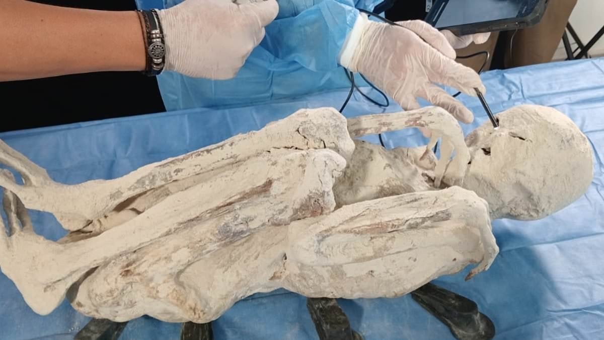 Alien mummies proven to be ‘100% real’ in shock breakthrough that ...