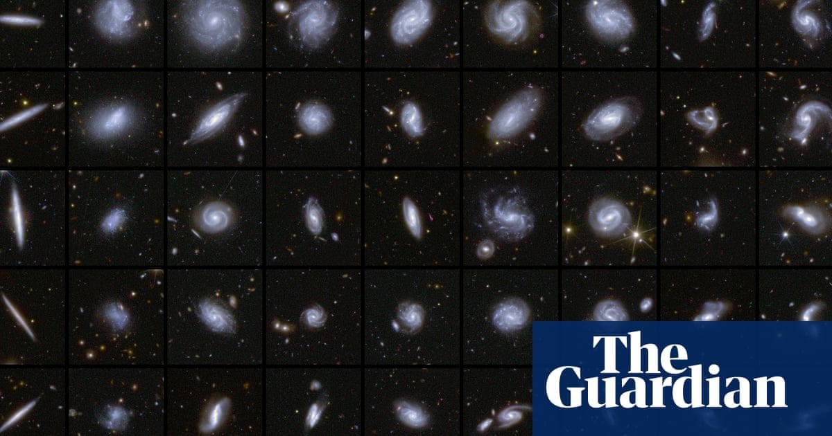 Scientists hail ‘avalanche of discoveries’ from Euclid space telescope ...