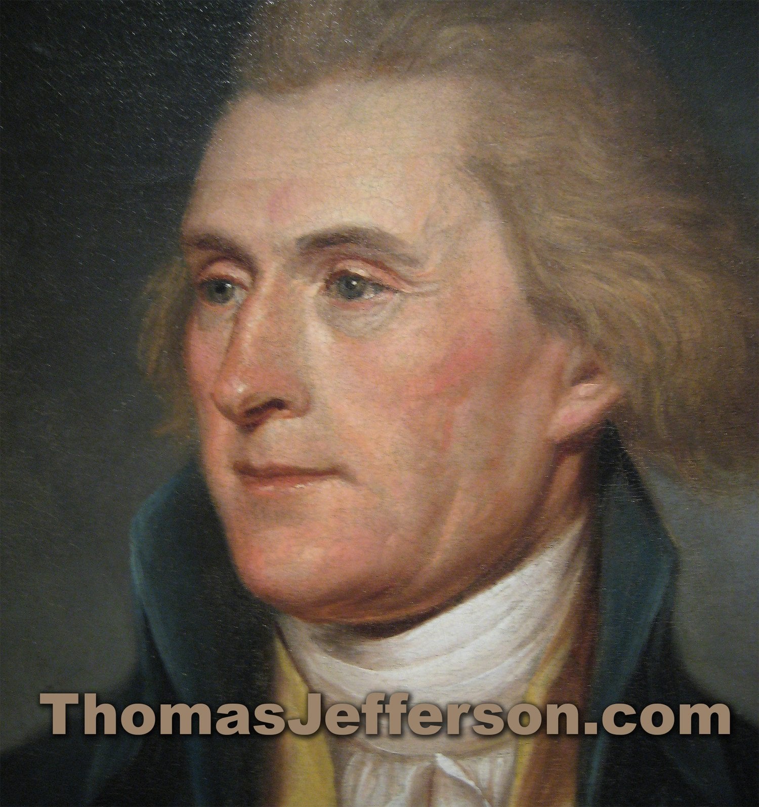 In this 1791 letter from Thomas Jefferson to black scientist and ...