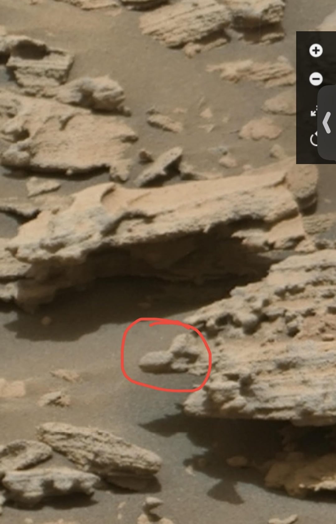 Second tic tac shape comparison - UFO FEED