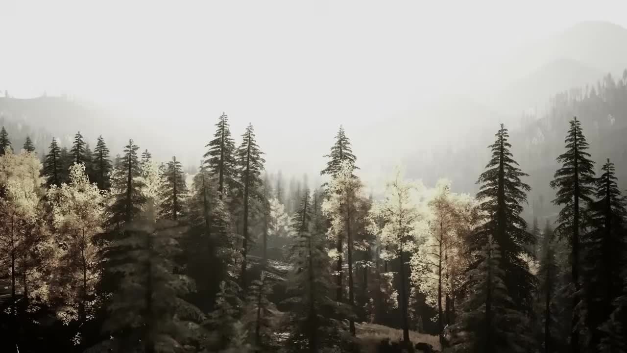 A Great Awakening to Break the Alien Prison Planet Earth – UFO FEED