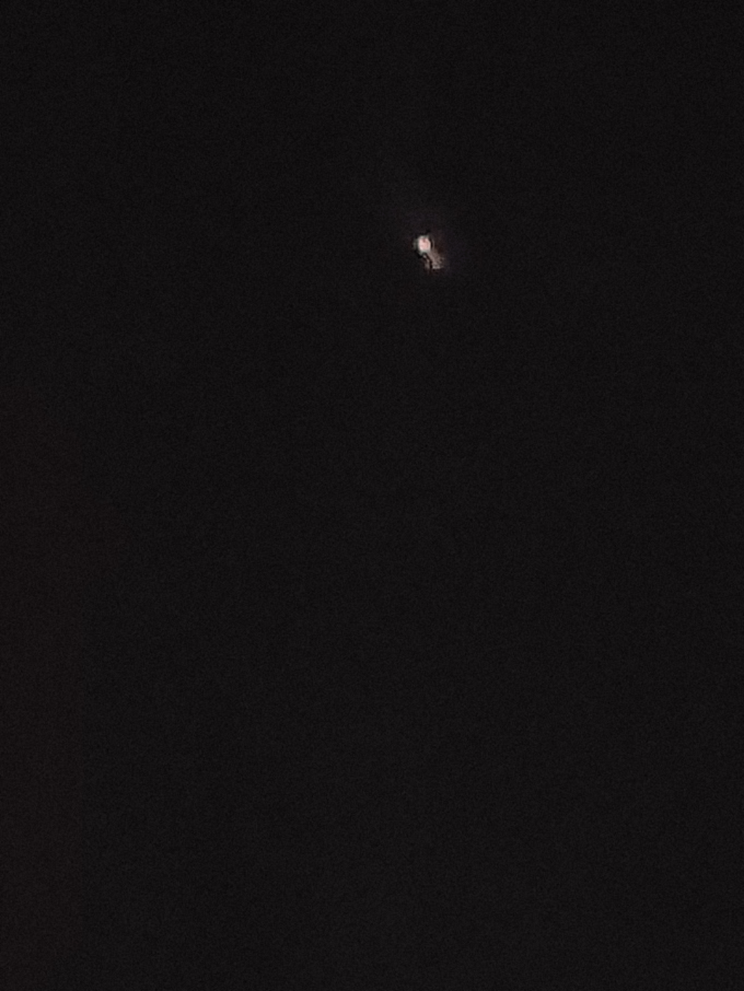 Help needed Identification - UFO FEED