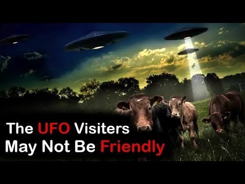 Human Mutilation Cases Linked to UFOs? Ross Coulthart Responds - UFO FEED