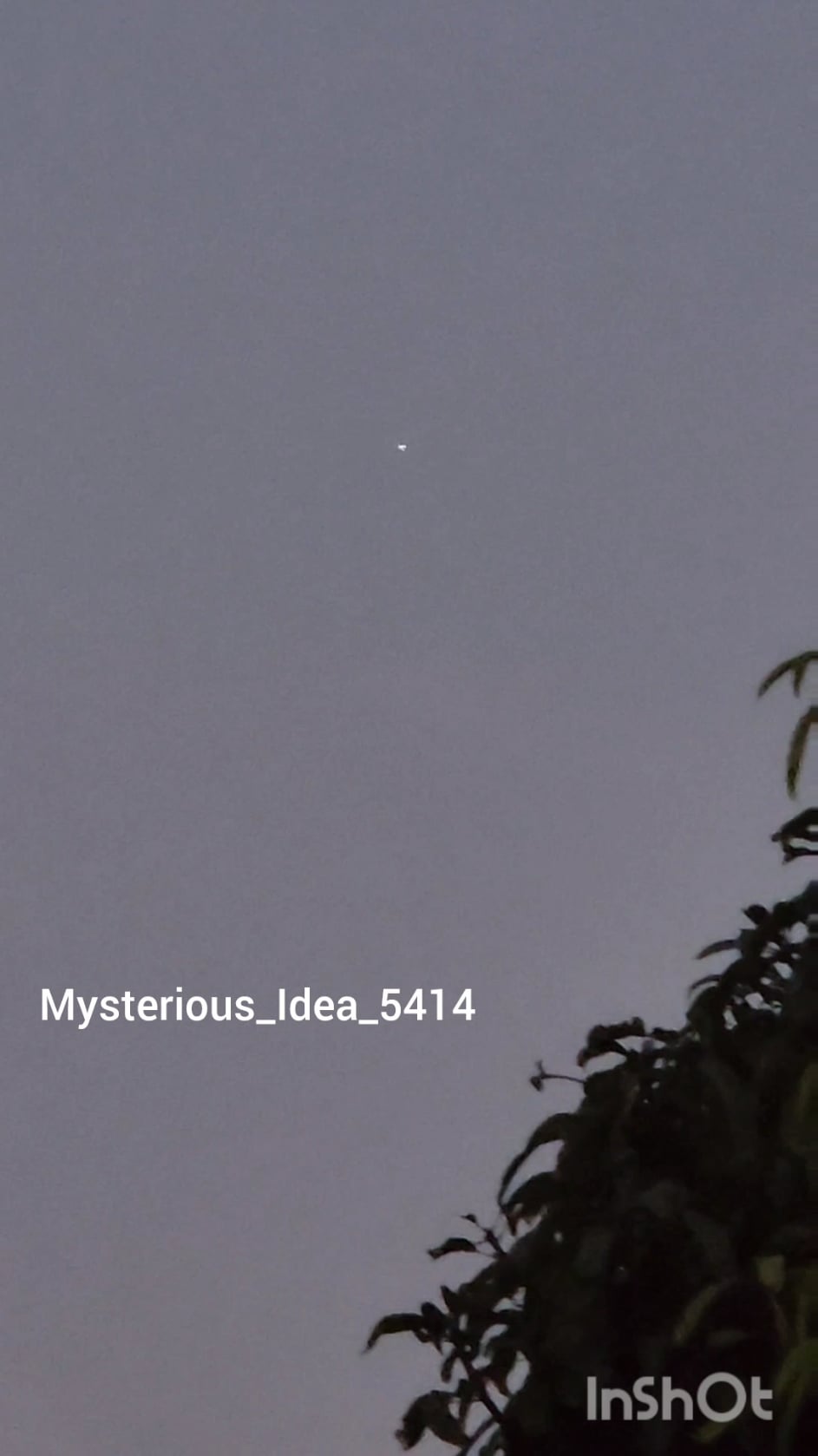 UFO?? Help in identifying the orb - UFO FEED