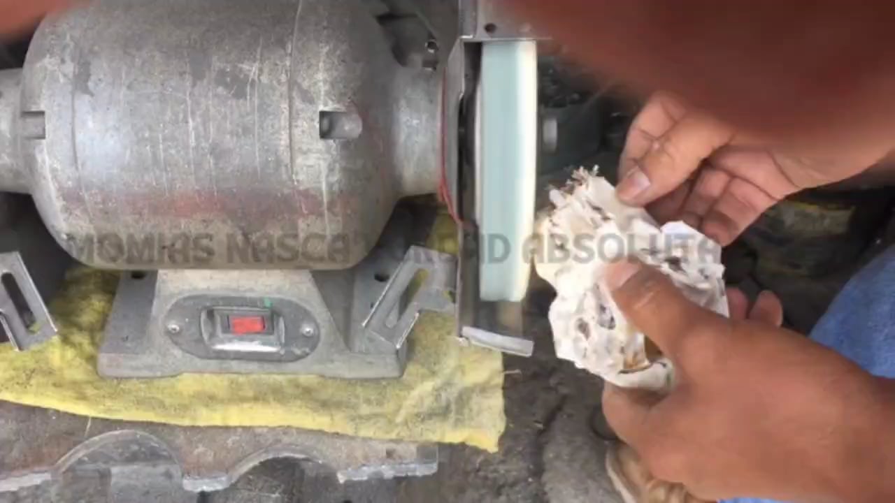 The llama skull hypothesis tested in real life, not just on paper or a ...