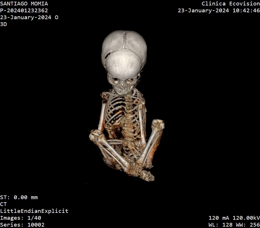 Video of Santiago, a 3ft tridactyl, generated directly from his DICOM ...