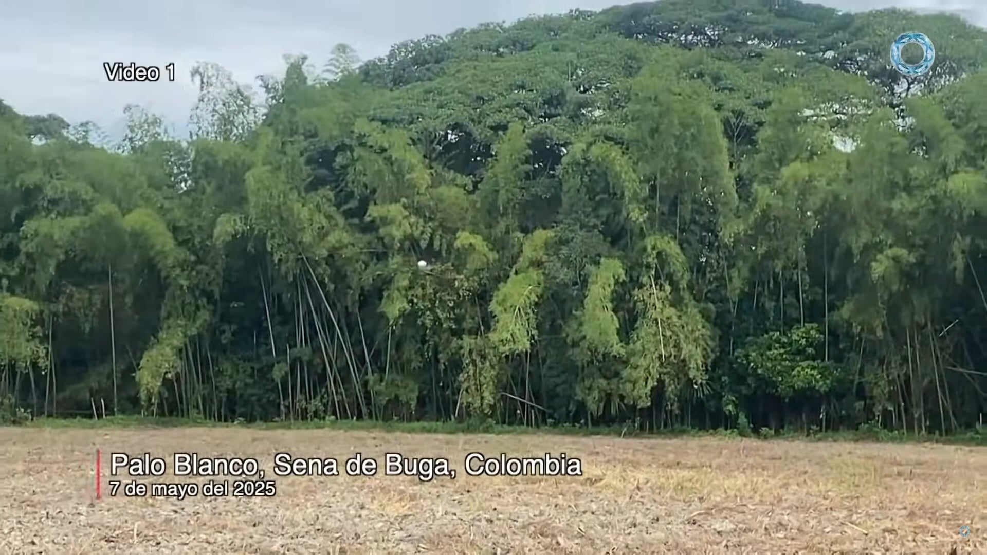 Sighting of More Spheres in Buga, Colombia – UFO FEED