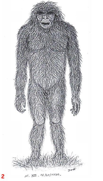 The barmanou is a Pakistan cryptid said to be a large, upright hairy ...