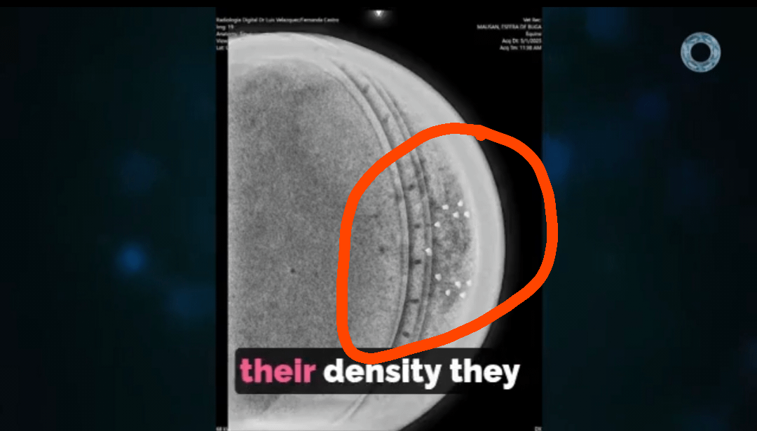 There are no "microspheres" in the buga sphere - UFO FEED