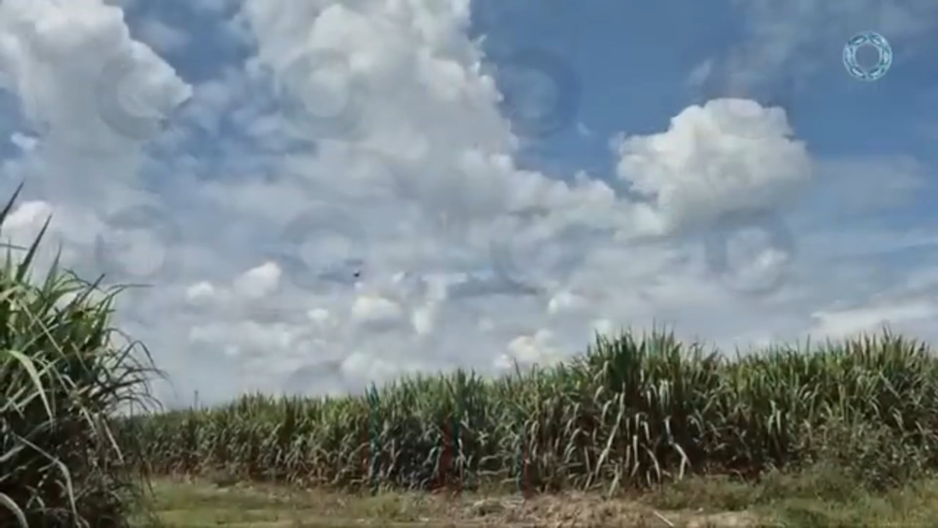 New Close Up Silver Sphere UAP Sighting in Yumbo, Colombia - UFO FEED