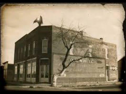 America's Backyard Beasts - The Cryptids you've never heard of or have ...