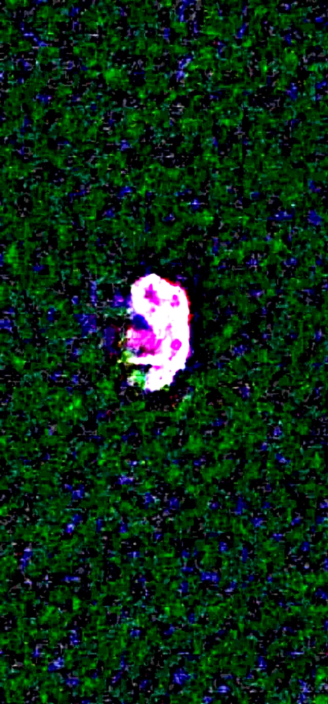 Weird Object in Astrophotography Photos - UFO FEED