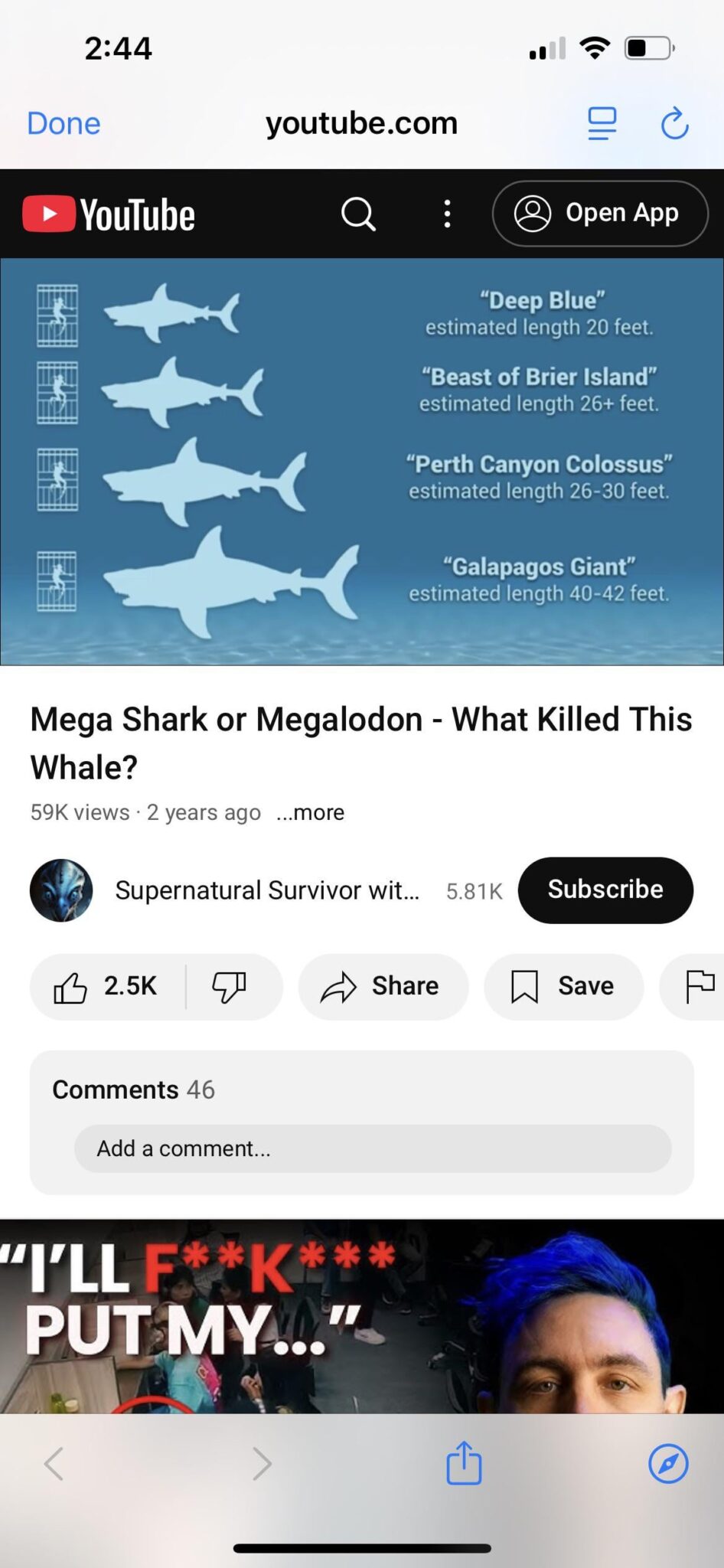 Proof Megalodon is alive today or a undiscovered predatory shark is ...