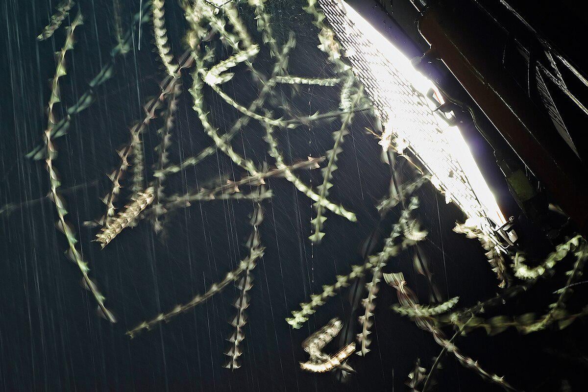 PSA: "Air rods" are a common optical phenomenon of insects moving ...
