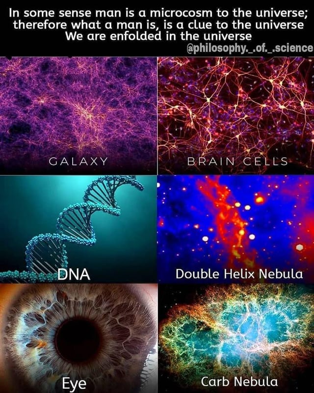 DNA was understood as Divine Blueprint; ancient Hebrew language encoded ...