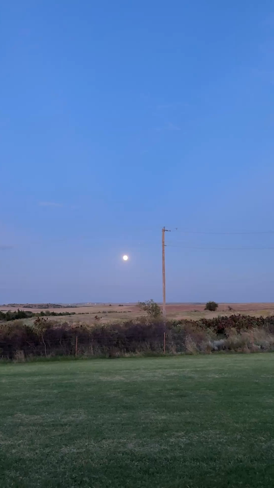 Disappearing Craft Ufo Feed