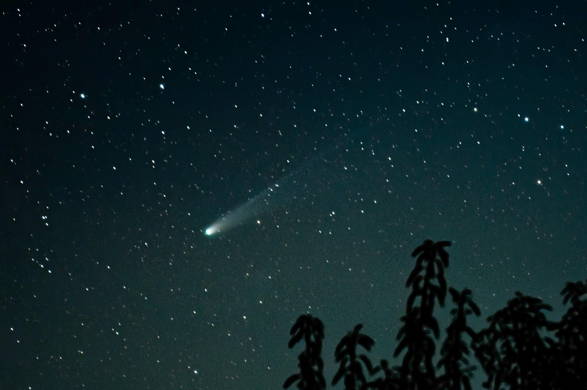 Comet Lemmon last night - UFO FEED