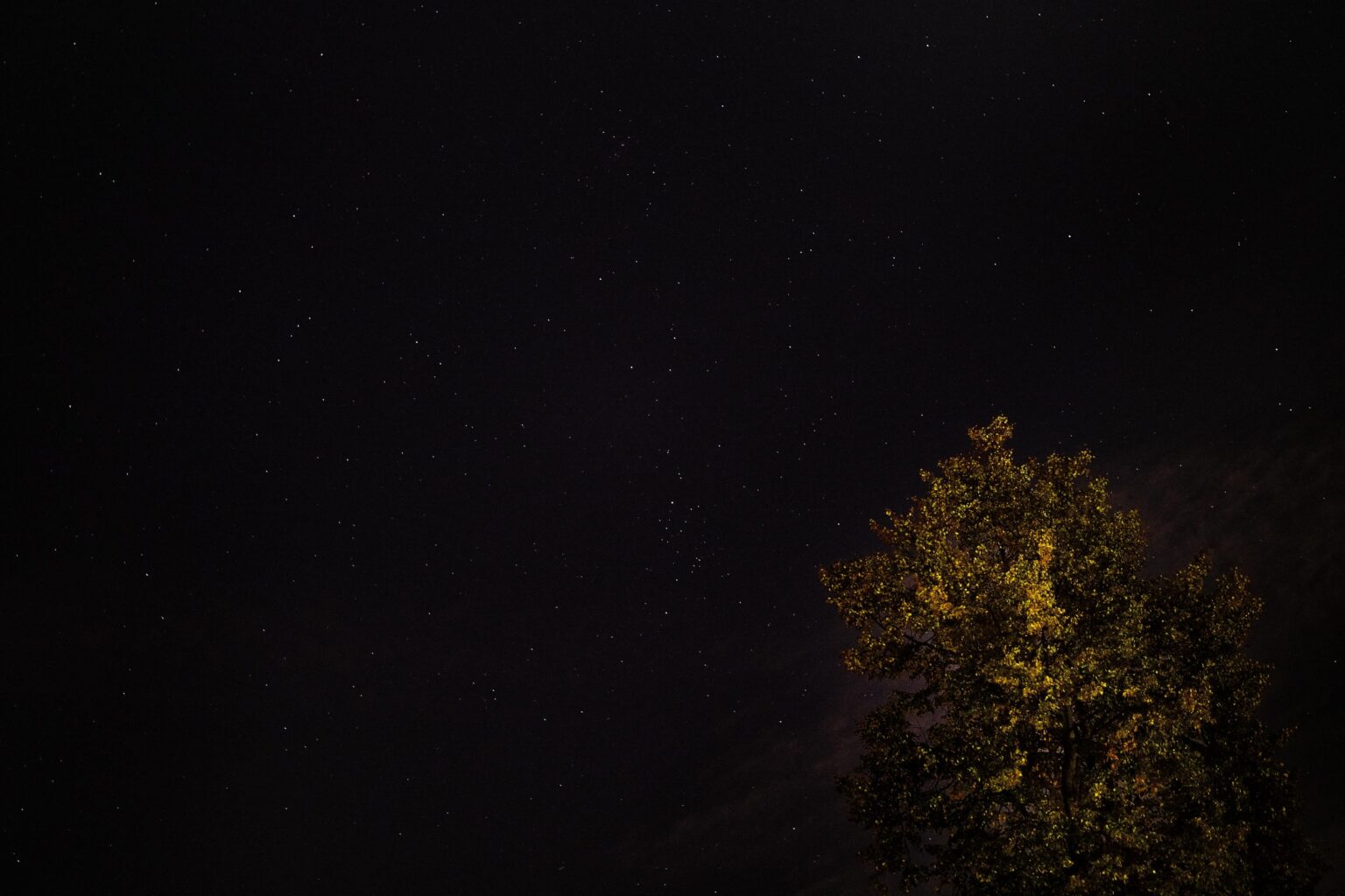 First astrophotography attempt - UFO FEED