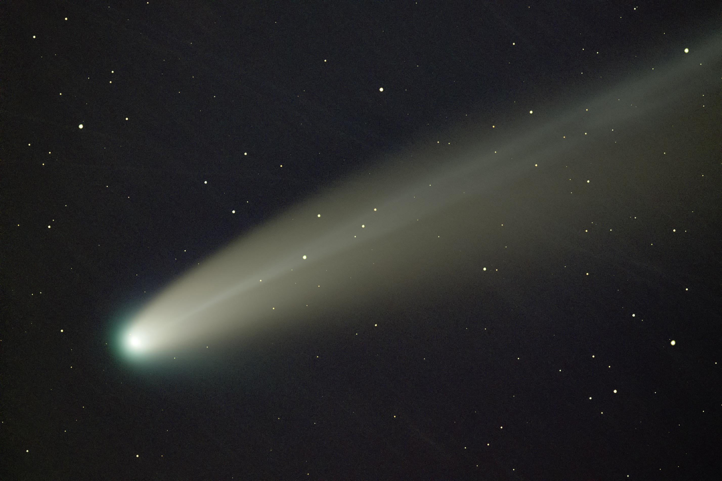 Comet Lemon - UFO FEED