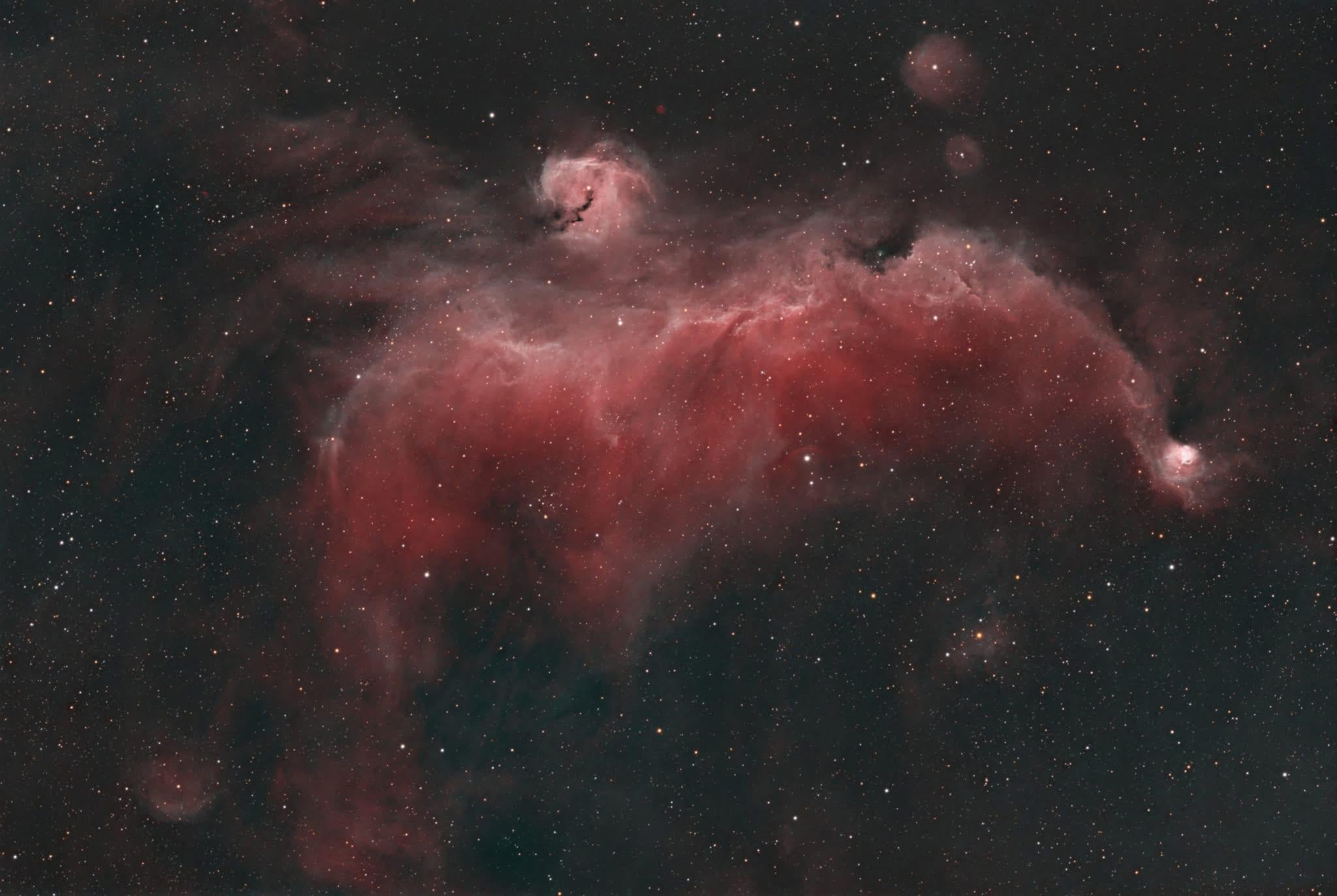 The Seagull nebula in HSS palette - UFO FEED