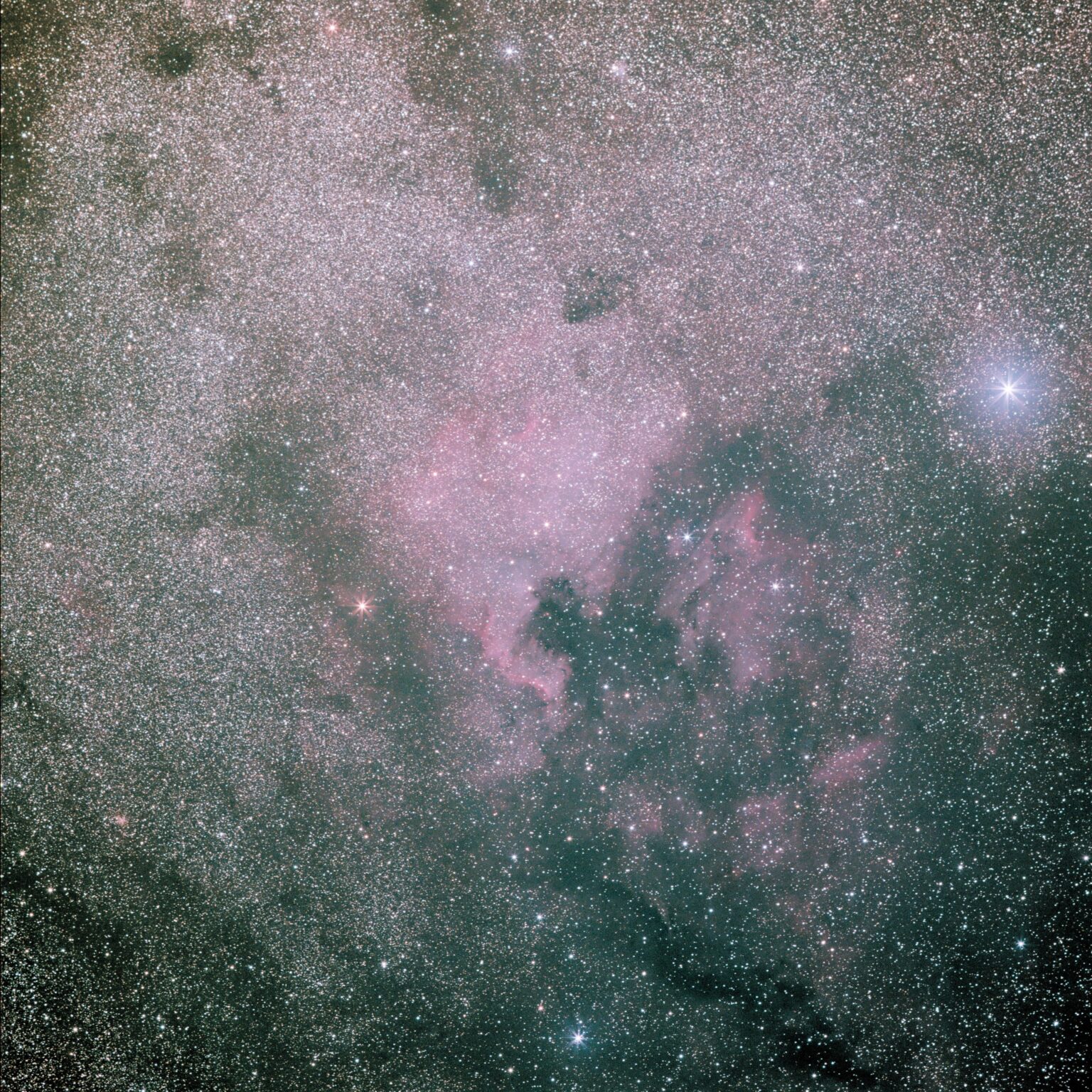 North America nebula, Pelican nebula, Deneb, and suroundings - UFO FEED