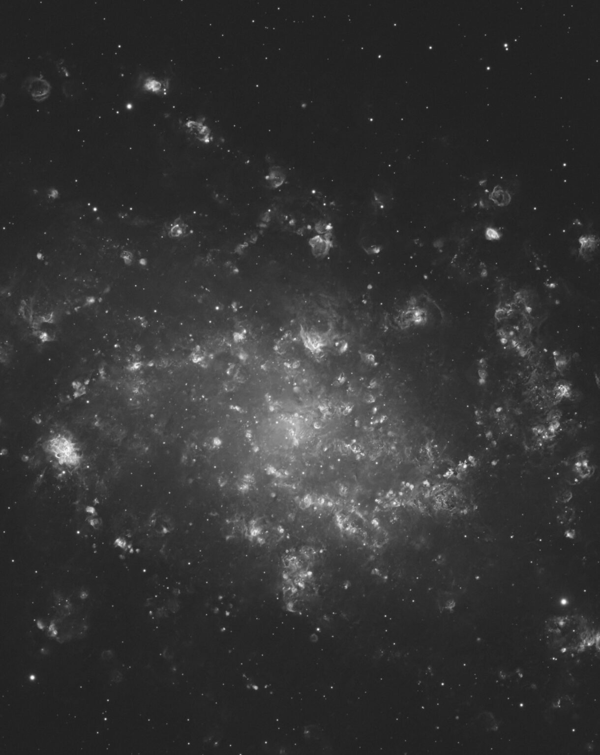 Messier 33 hydrogen alpha monochrome - UFO FEED