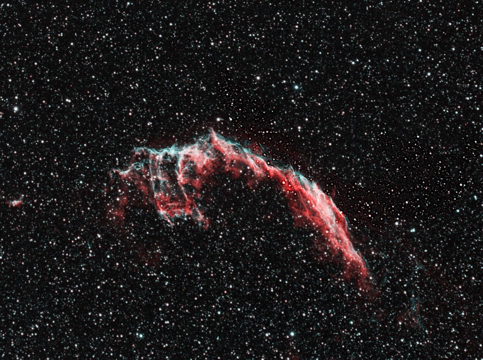 The Bat Nebula - UFO FEED