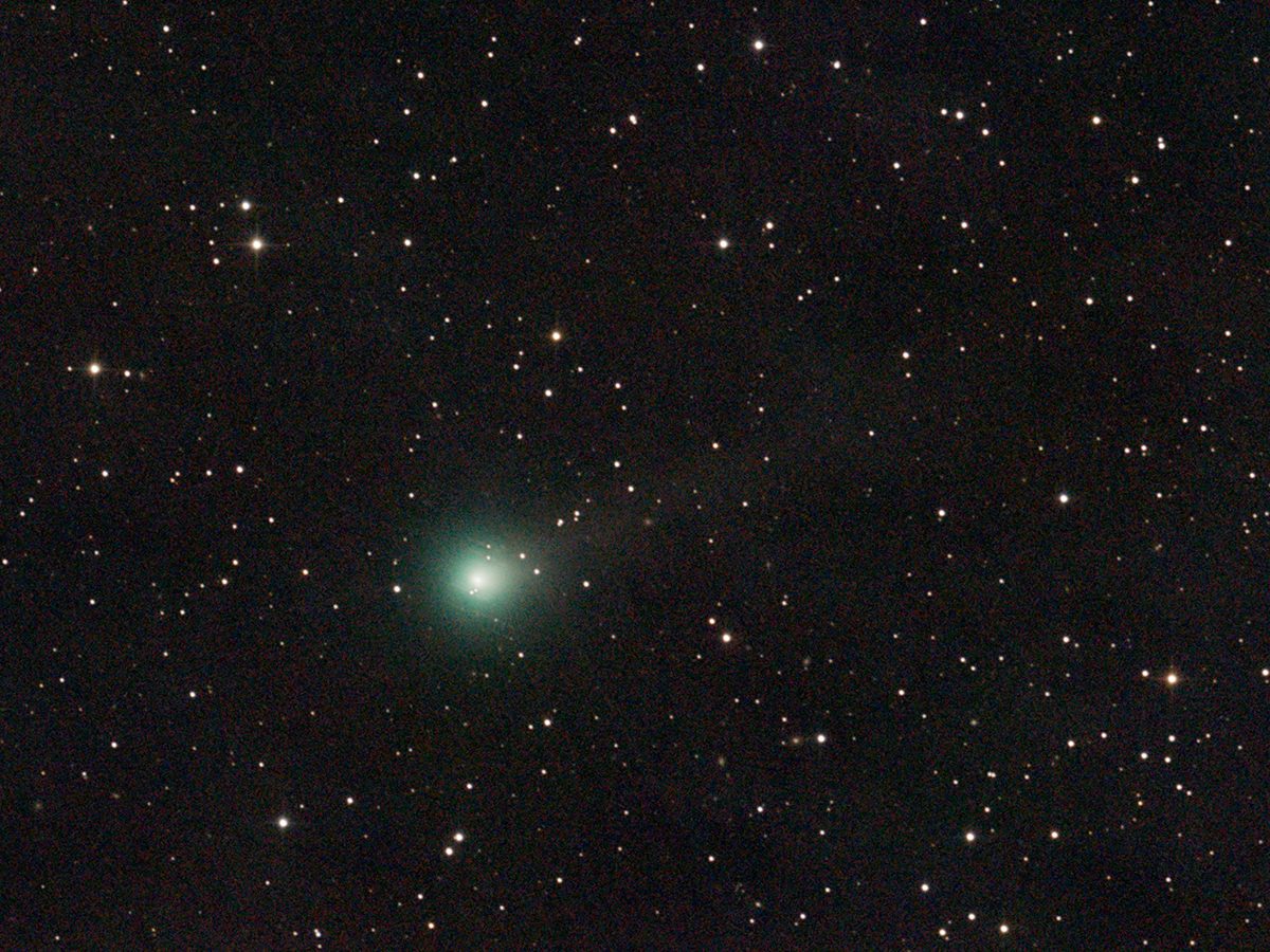 How to see comet C/2025 A6 (LEMMON) right now - UFO FEED