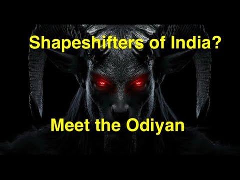 The Shapeshifter you’ve never heard of: India’s Odiyan. They were ...