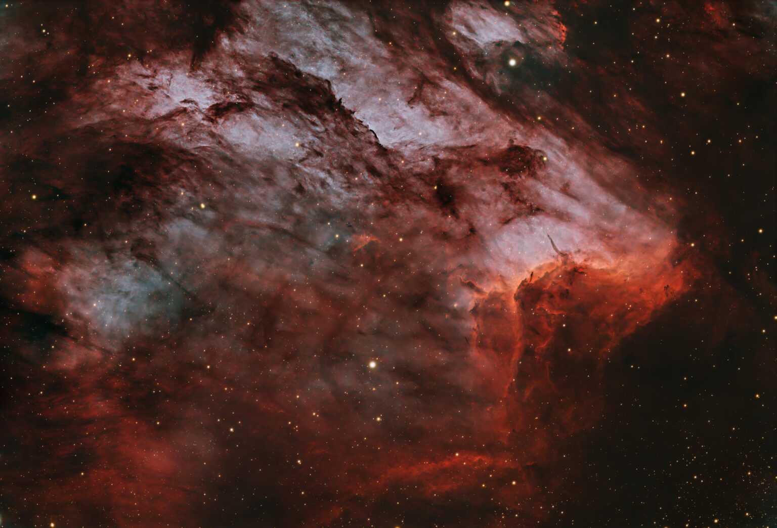 IC 5070 - The Pelican Nebula - UFO FEED