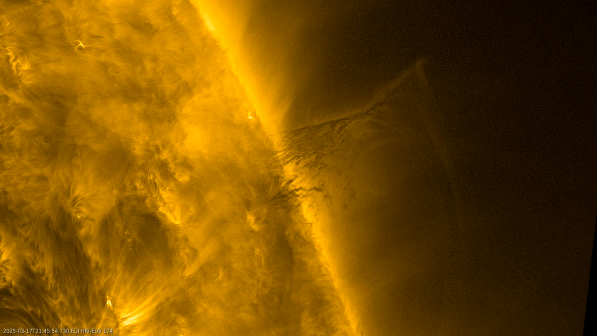 A solar prominence hovers over the Sun - UFO FEED