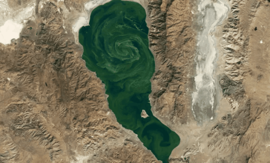 NASA Captures Alarming Swirl of Poisonous Algae in Nevada Desert Lake ...