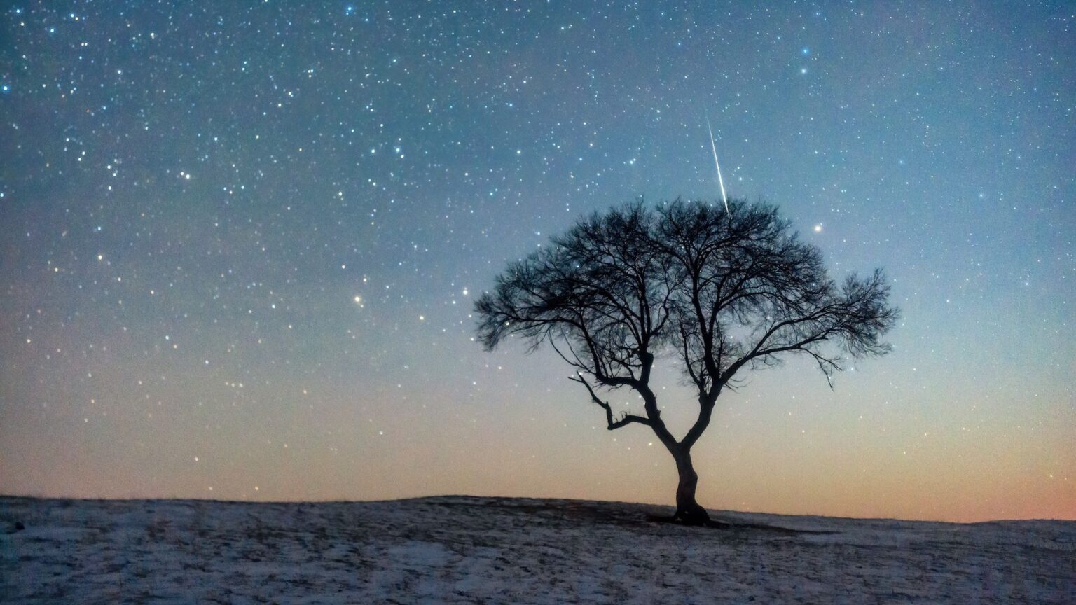 Leonids 2025: One of the year’s last meteor showers could peak with ...