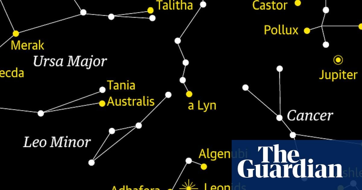 Starwatch: the Leonids meteor shower reaches its peak - UFO FEED