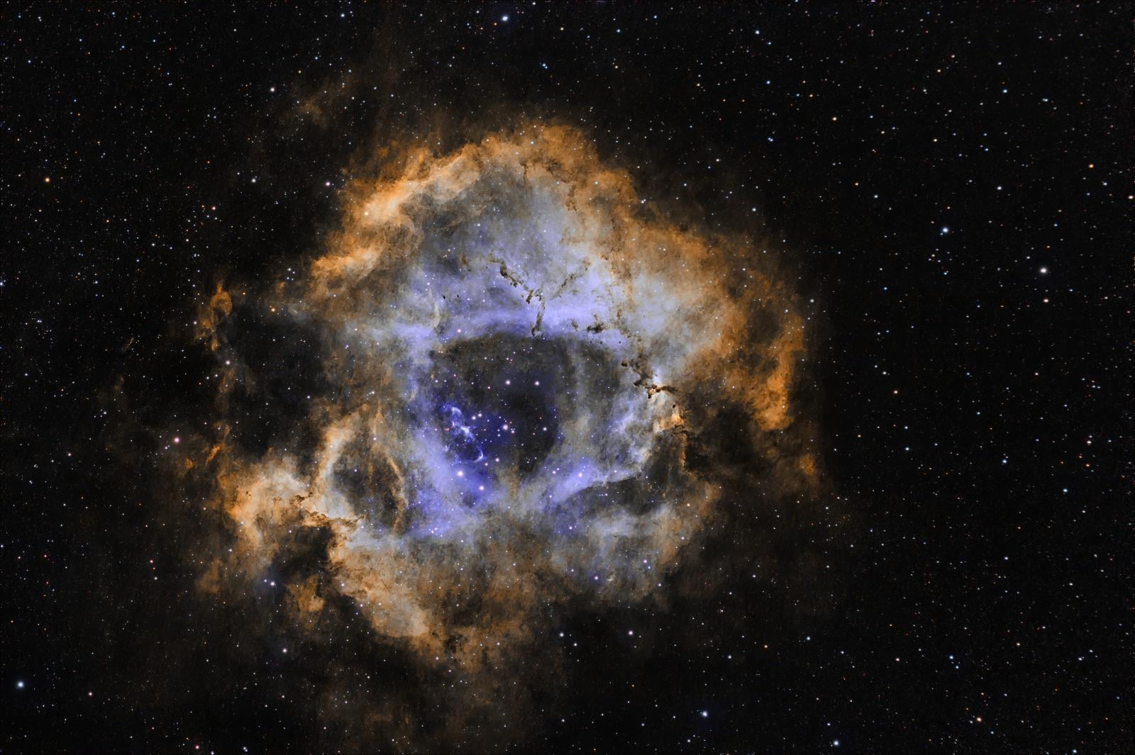 Resettle Nebula - Hubble Palet - UFO FEED
