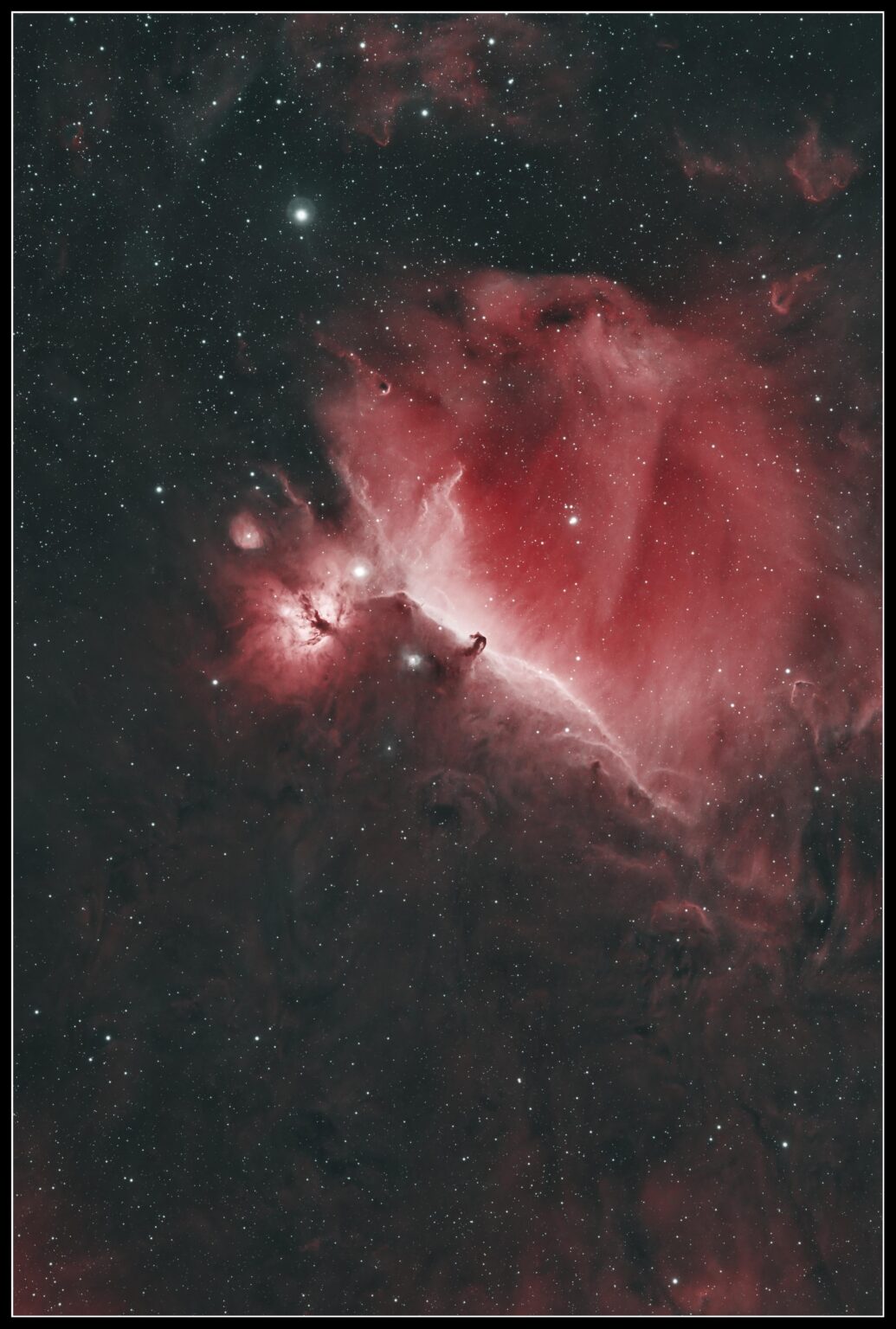 Horsehead and friends in HSS - UFO FEED