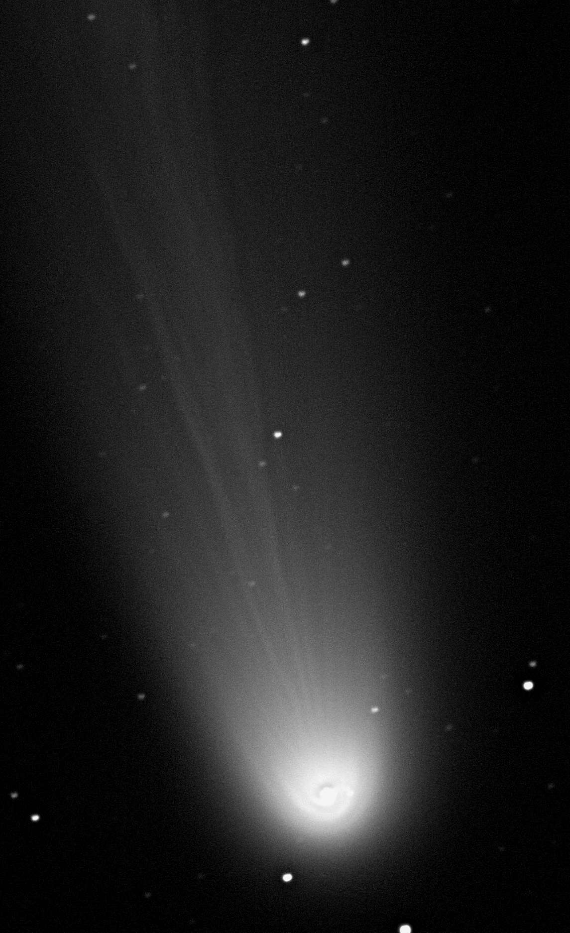 Comet C/2025 A6 Lemmon animation. By Michael Jaeger - UFO FEED