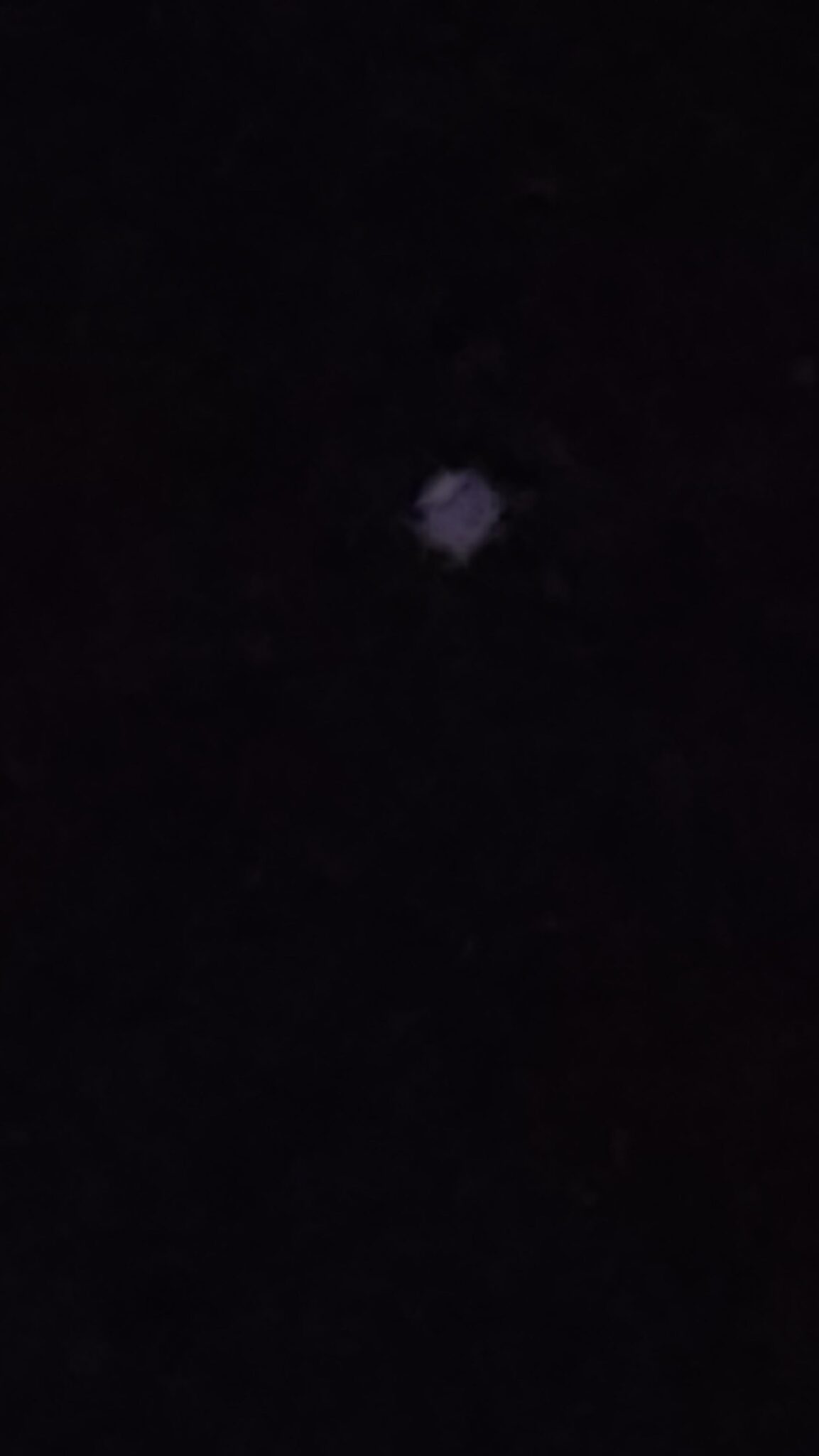 Up close transformation of Orb - Detailed Morph and Vanishing - UFO FEED