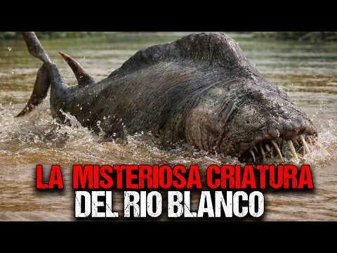 La Extraña Criatura del Rio Blanco | Criptozoologia - UFO FEED