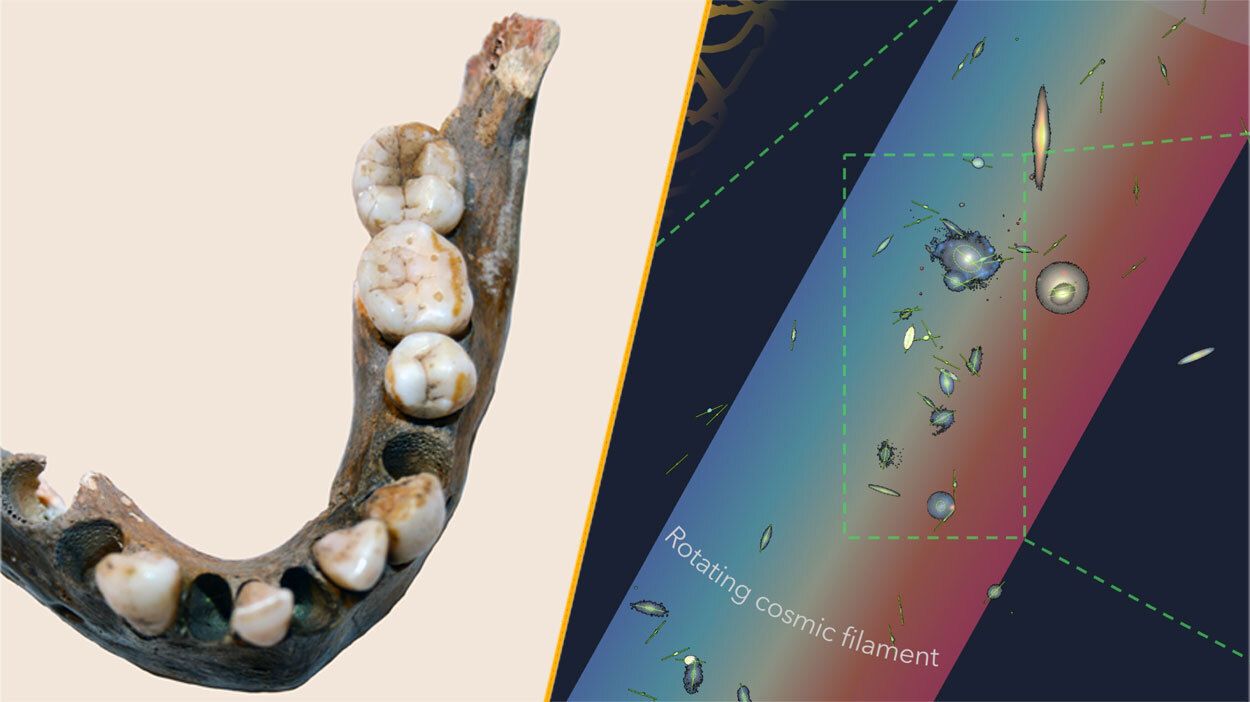 Science news this week: A human population isolated for 100,000 years ...