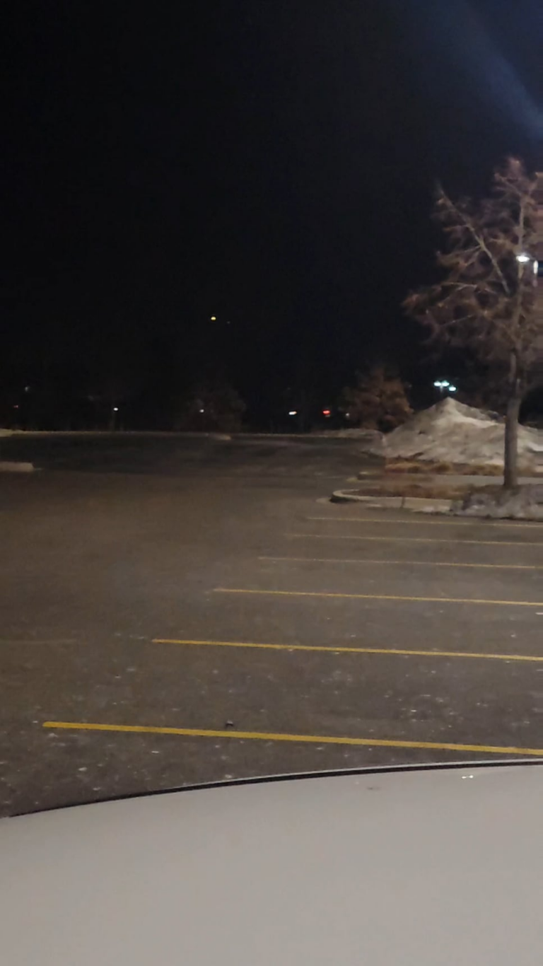 Saw this 2 days ago in the northern Chicago suburbs. I think these were ...
