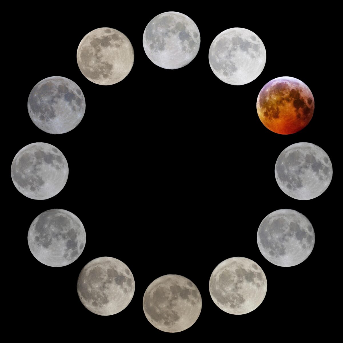 Full Moon Collage of 2025 - UFO FEED