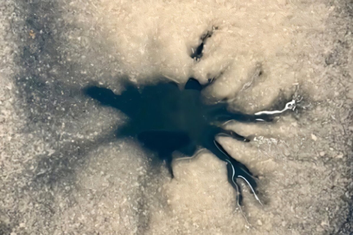 Scientists Intrigued by Large Spider-Like Blob on Europa - UFO FEED
