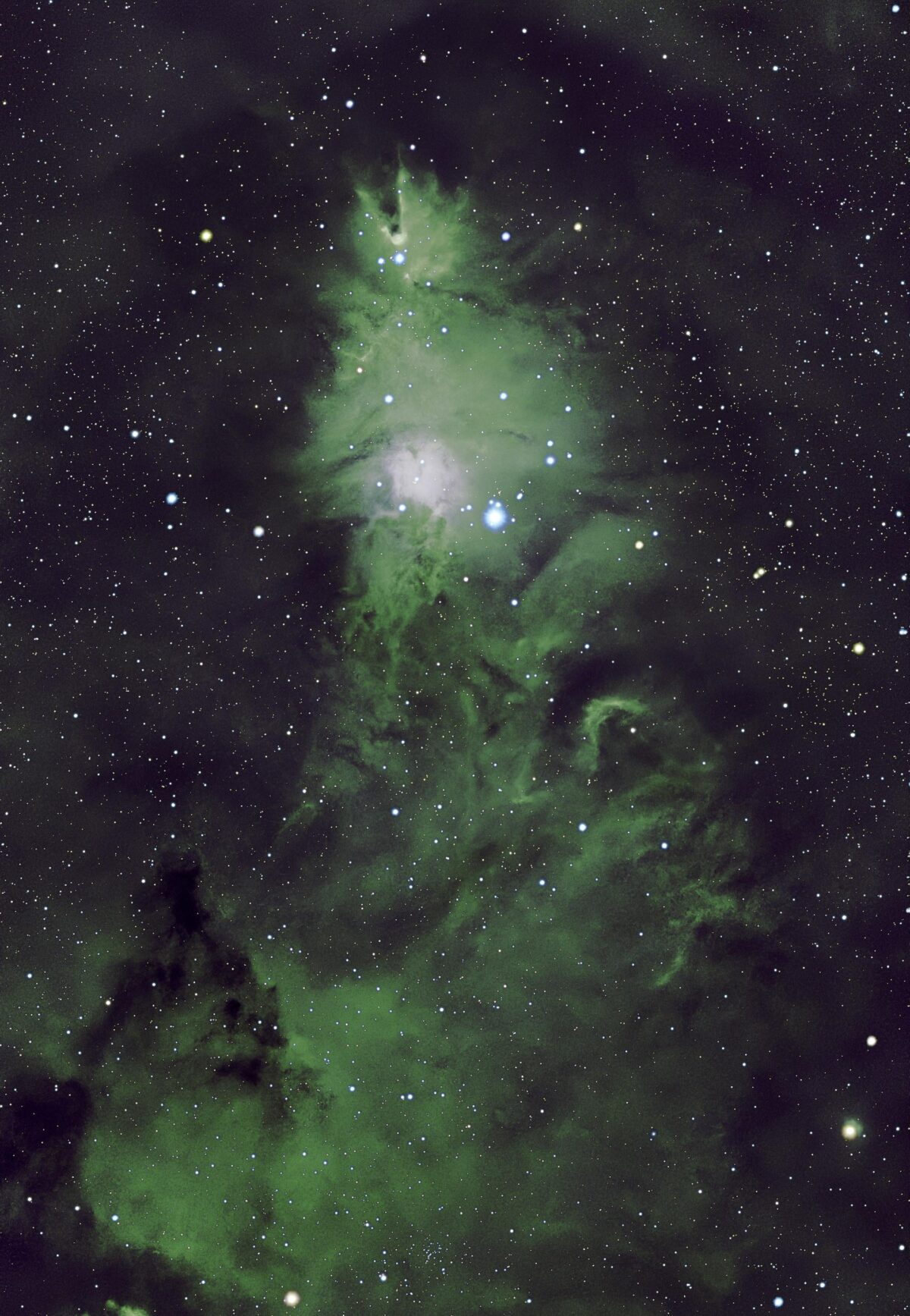 Christmas Tree Cluster and the Cone Nebula from NGC 2264 - UFO FEED